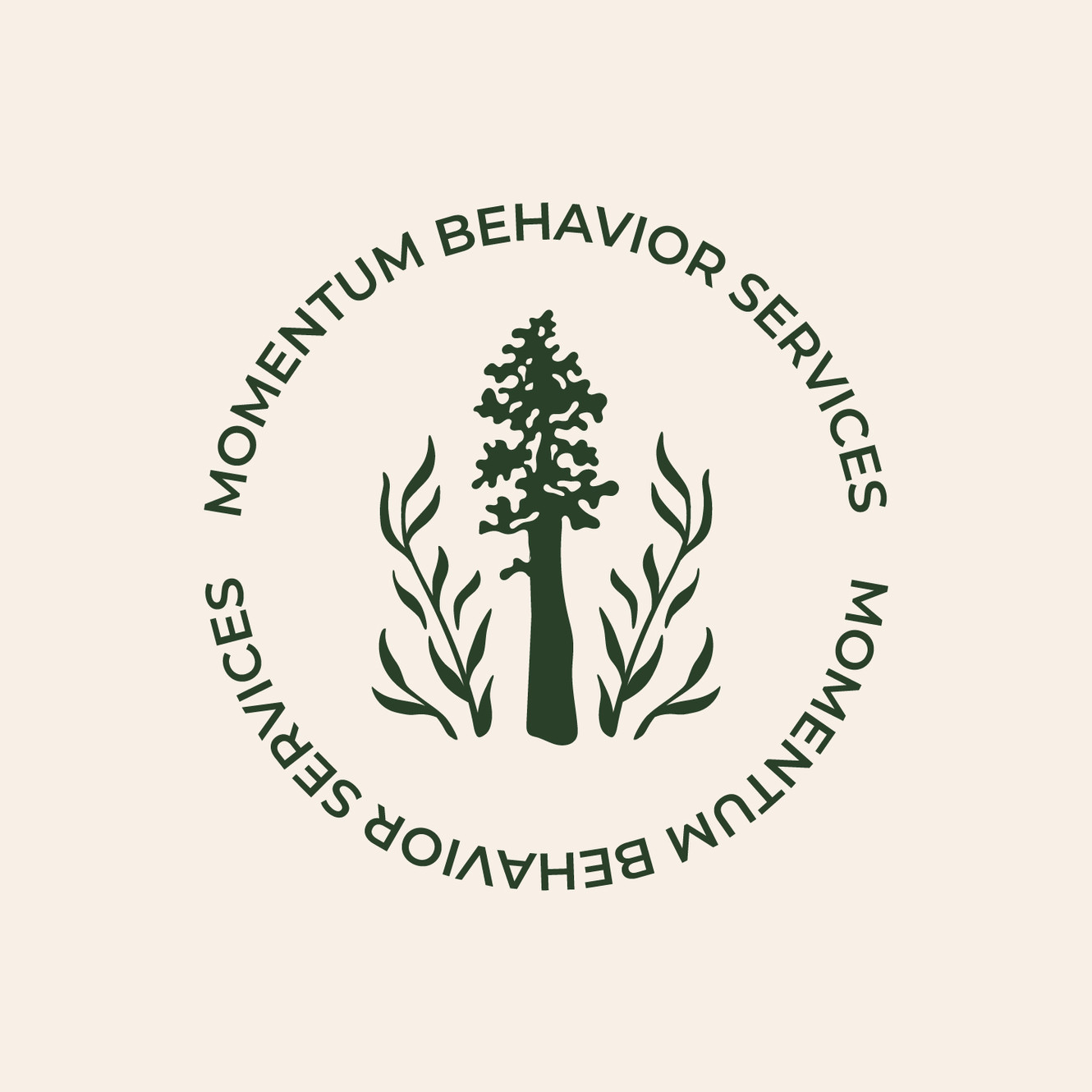 Momentum Behavior Services | Careers